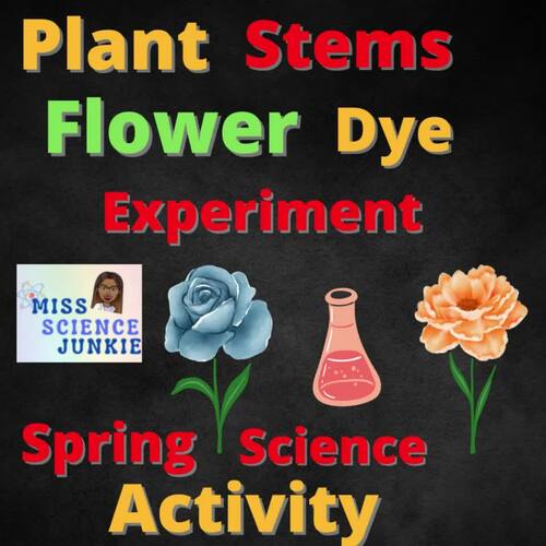 Spring Science Experiment | Plant Stems Structures and Functions