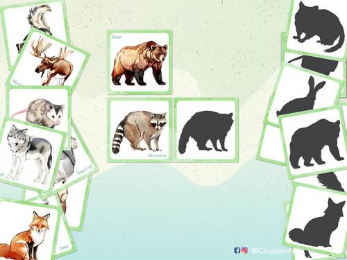 Forest Animals Shadow & Object Match-Up: Visual Discrimination,Matching ...