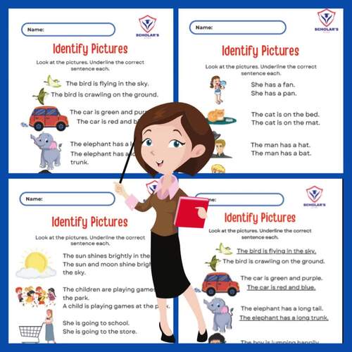 Identify the Picture - Sentence Correction by Scholars Stop | TPT