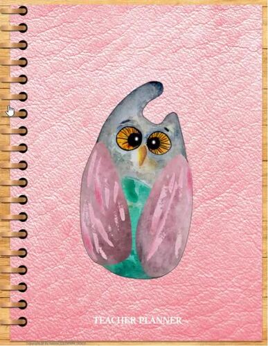 Editable Owl-Themed Teacher Binder/ Ipad Undated by EduSpark Depot