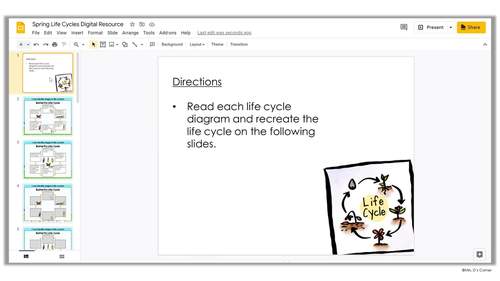 Spring Life Cycles Digital Activity | Distance Learning by Mrs Ds Corner