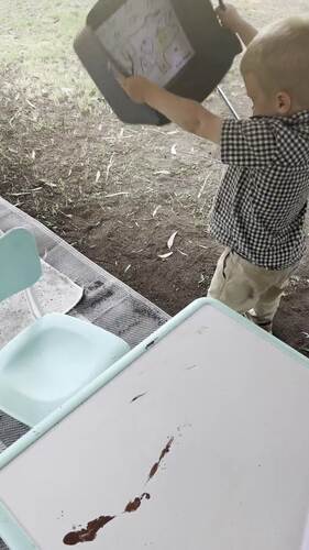 Preschool Farm, Pig Shape and Color Recognition Coloring and Painting ...