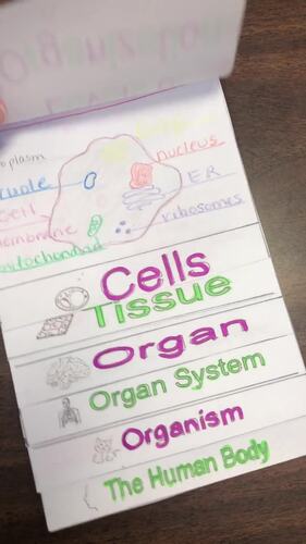 Levels of Organization (Cells to Organism) Flip Chart by BookCoCreations