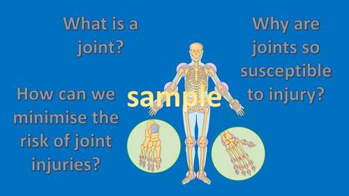 IB SEHS Anatomy PP3 Joints by Figure of Teach | Teachers Pay Teachers