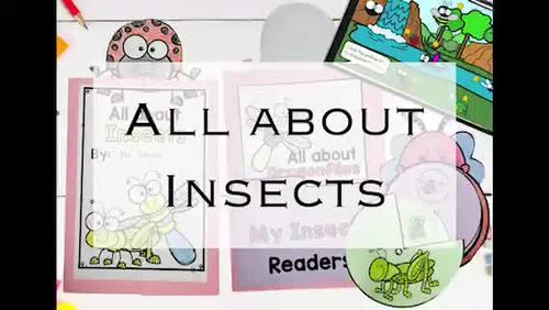 Insects | Insects Life Cycle Spinners | Bugs | Spring Nature Walk by Ms ...