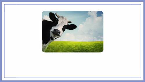 [Editable Presentation VER.] Herbivore, Carnivore & Omnivore Animals ...