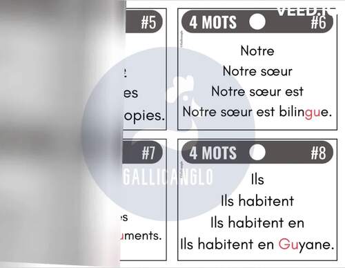 FRENCH Lecture et fluence Reading fluency practice VOL13 digraphe GU ...