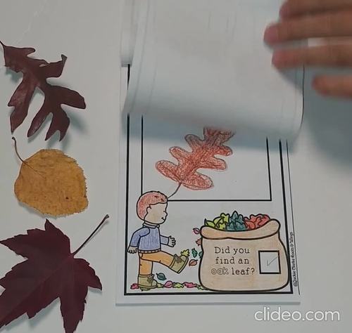 Fall Leaf Nature Walk, Kindergarten Science Activities, Outdoor ...