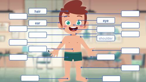 STELLAR TEFL A1 COURSE Unit 8: Body by Stellar TEFL | TPT