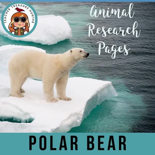 Polar Bear non-fiction article to write informational animal reports ...