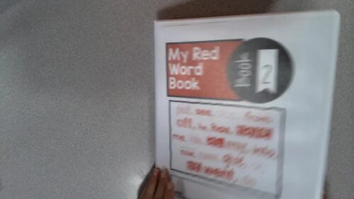 Sight Word (Red Word) Small Group Reading Intervention Binder #2-IMSE OG+