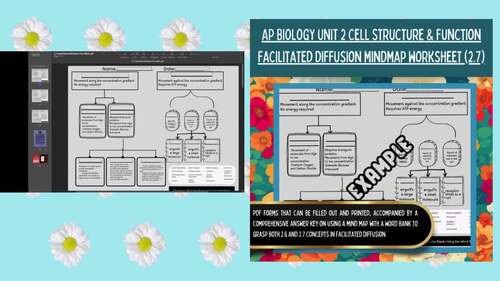 AP Biology UNIT 2 Cell Structure & Function Facilitated Diffusion 2.7 ...