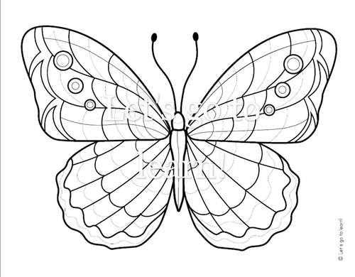Butterfly Coloring Pages, 22 Sheets, Spring Activity, Insects, Party ...