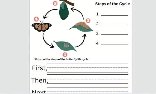 Third Grade Comparing Organisms Life Science, Engaging Activities, NGSS ...