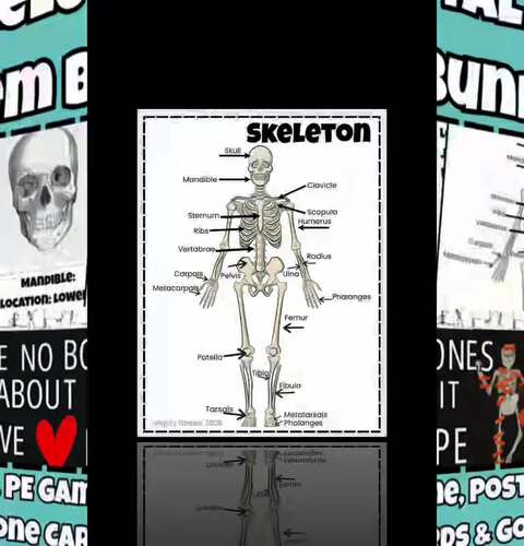 Skeleton System Bundle | Activities, Games, Posters & Bulletin Board ...