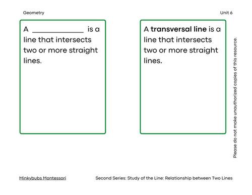 Montessori Geometry Nomenclature Study of Line Unit 6 Relationship 3 Lines