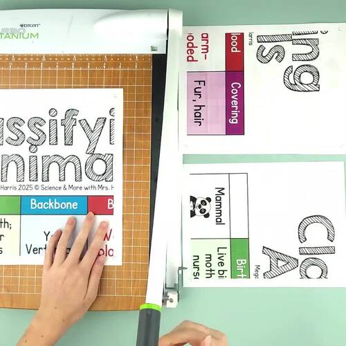 Classifying Animals Science Anchor Chart (Poster and Collage Print)
