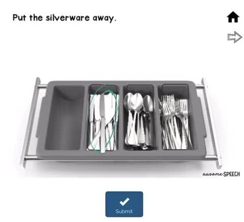 Functional Life Skills ADL: Sorting Dishes Special Education Boom Cards