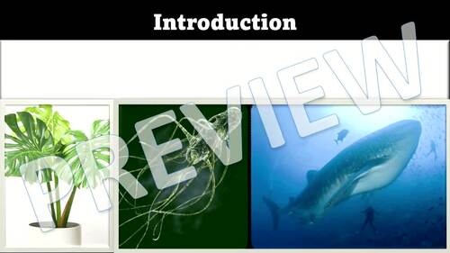 AP Environmental Science Community Ecology Interactive PowerPoint