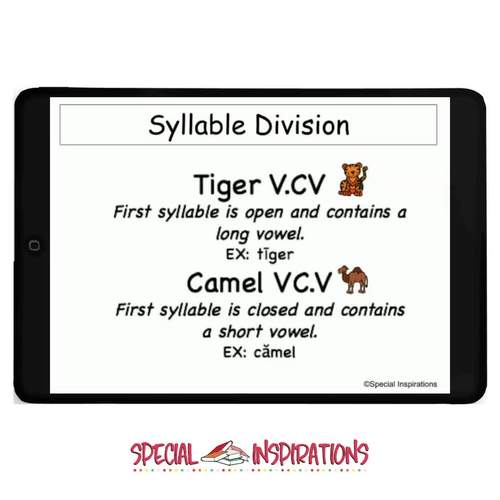 Tiger or Camel? Syllable Division Task Box | Science of Reading ...