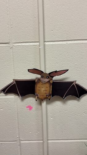 Foldable Fun: Inspiring Learning with 3D Animals: Bat | TPT