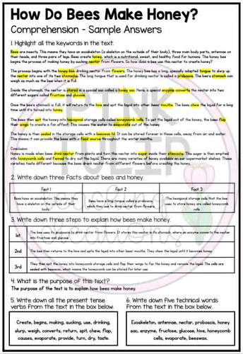 Explanation Text - How Do Bees Make Honey? by Pink Tulip Teaching Creations