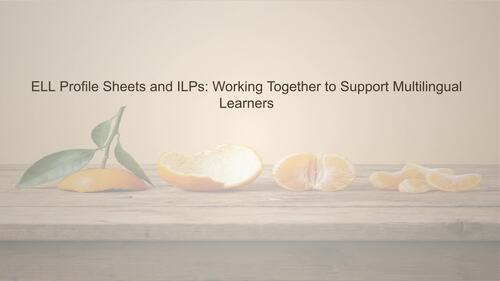 ELL Student Collaboration Profile Video | TPT