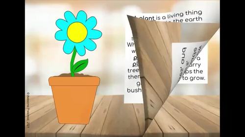 Parts of a Plant – Interactive PowerPoint Book for Preschool, Pre-K ...