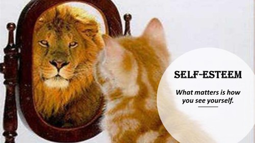 SELF-ESTEEM, Self-Esteem Video - Social Skills -Life Skills | TpT