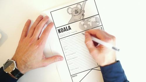 Animal Research Project - Pennants - Adaptations Evolution by Creative Lab