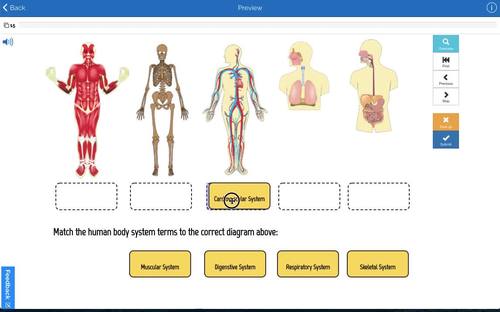 Introduction to Anatomy and Human Body Systems BOOM Cards - Digital ...