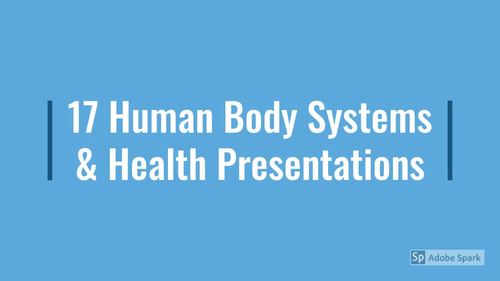 Set of 17 Human Body Systems Notes/Presentations by The Biology Buzz Place