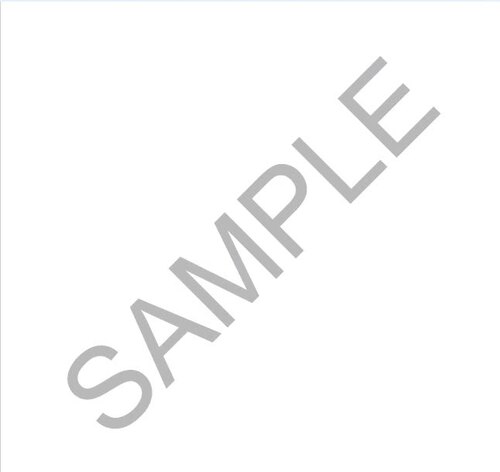 Chasing Vermeer Novel Units® Student Packet Novel Study | TPT