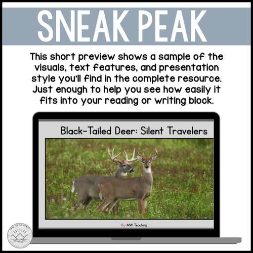 Black-Tailed Deer Nonfiction Book by MW Teaching Resources | TPT