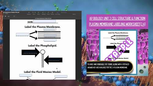 AP Biology UNIT 2 Cell Structure Plasma Membrane Label Digital ...