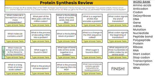 Protein Synthesis Digital Self-Check Growing Bundle | TPT