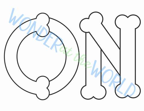 Skeletons Classroom Display Materials (Bones, X-rays, vertebrates)