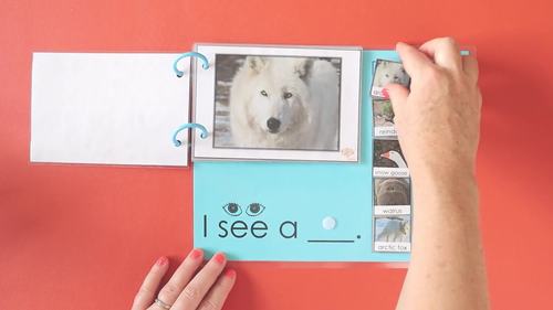 Arctic Faces Interactive Book and Sentence Formulation, Speech Therapy ...