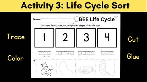 Insect Science Bundle, Ant, Bee, Butterfly, Ladybug, Preschool ...