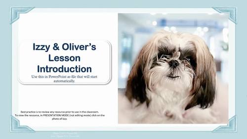 UPSTANDER Bullying Prevention YOU ARE NOT ALONE Ready to Use SEL LESSON ...