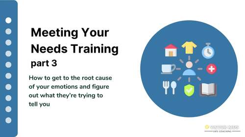 Meeting Your Needs Training pt. 3 | TPT