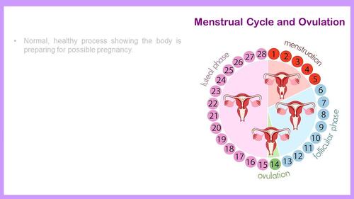 Sex Education & Sexual Health Curriculum Unit | Middle & High School Health