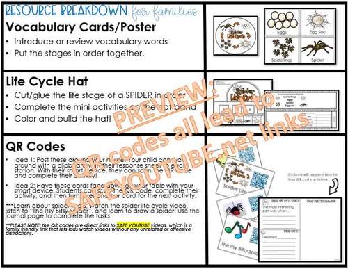 Send HOME Science Centers Spider Life Cycle l Spider Worksheets by DN ...