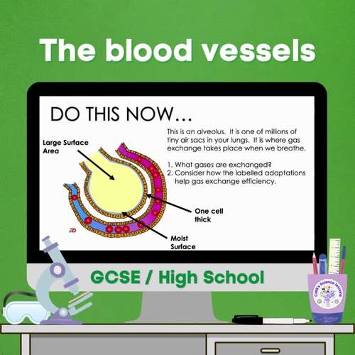 The blood vessels (GCSE) by CMGs Science lessons | TPT