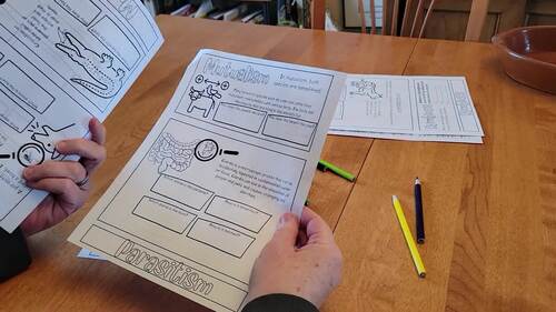 Symbiosis Foldable Sketch Notes by JayZee | TPT
