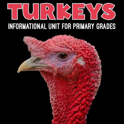 Turkey Unit – All About Turkeys PowerPoint Slideshow – Turkey Craft ...