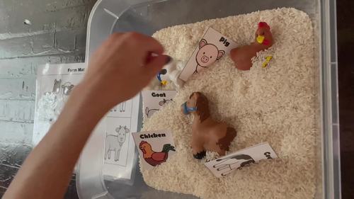 Farm Animal Sensory Bin Activities Preschool Special Education | TPT