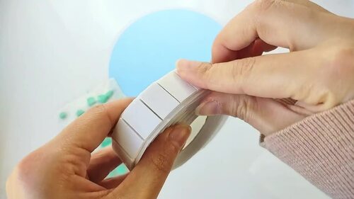 Sea Animals Dolphin Orca Shark Craft Research Project for Summer Activities