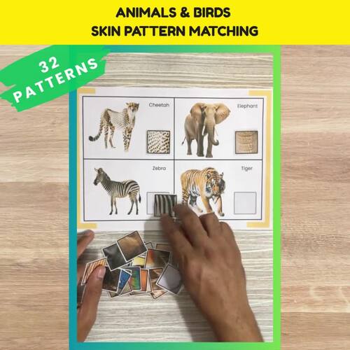 Animals & Birds Skin Pattern Matching Activity For Preschool ...