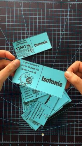 Cell Membrane Domino Review Cards Osmosis Passive & Active Transport